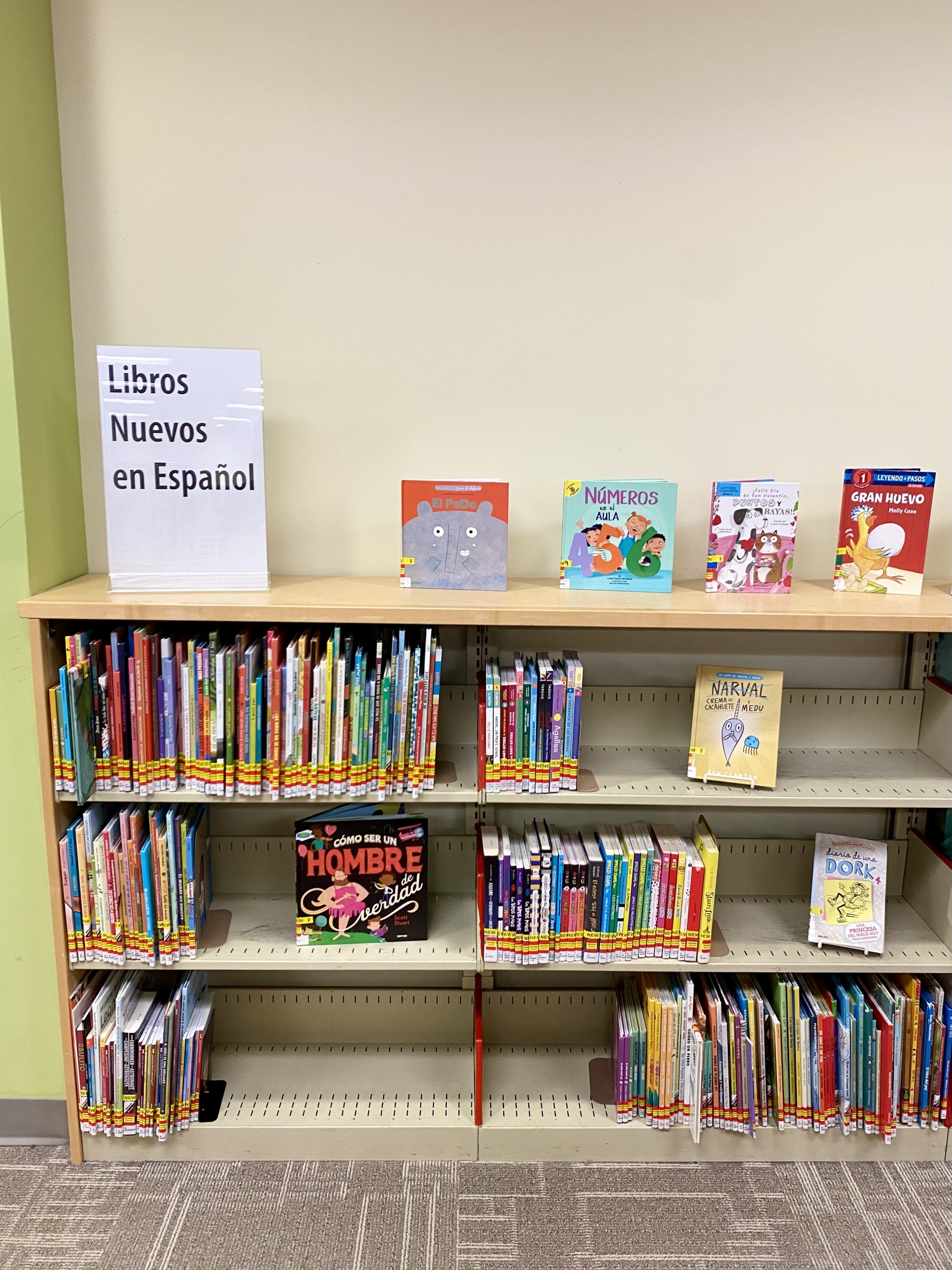 Cozy Up With New Spanish Children's Books | Fox River Valley Public Library